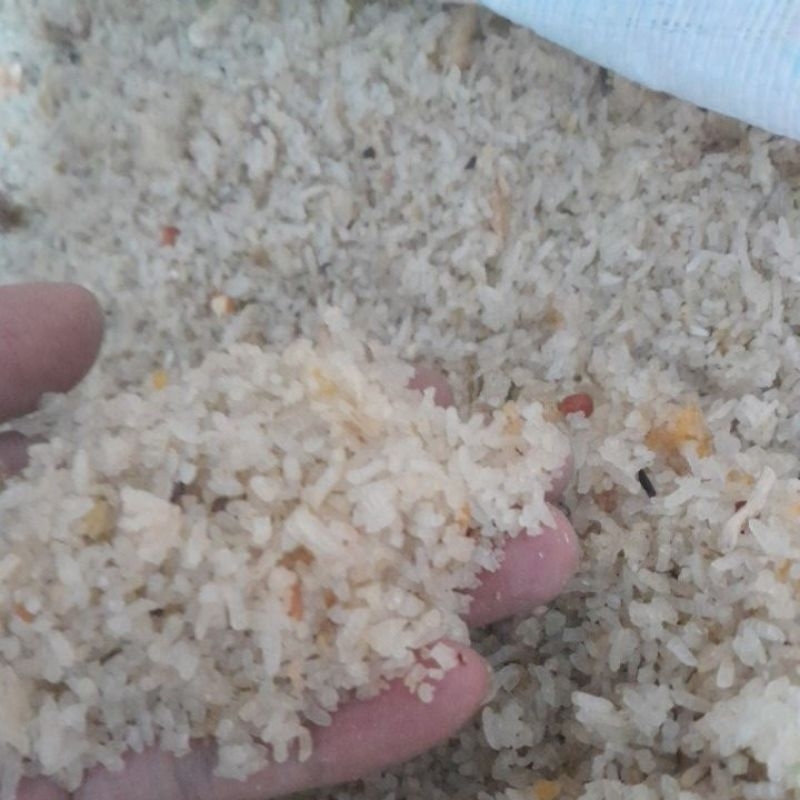 Jual karak nasi aking nasi aron nasi kering pakan ternak | Shopee Indonesia