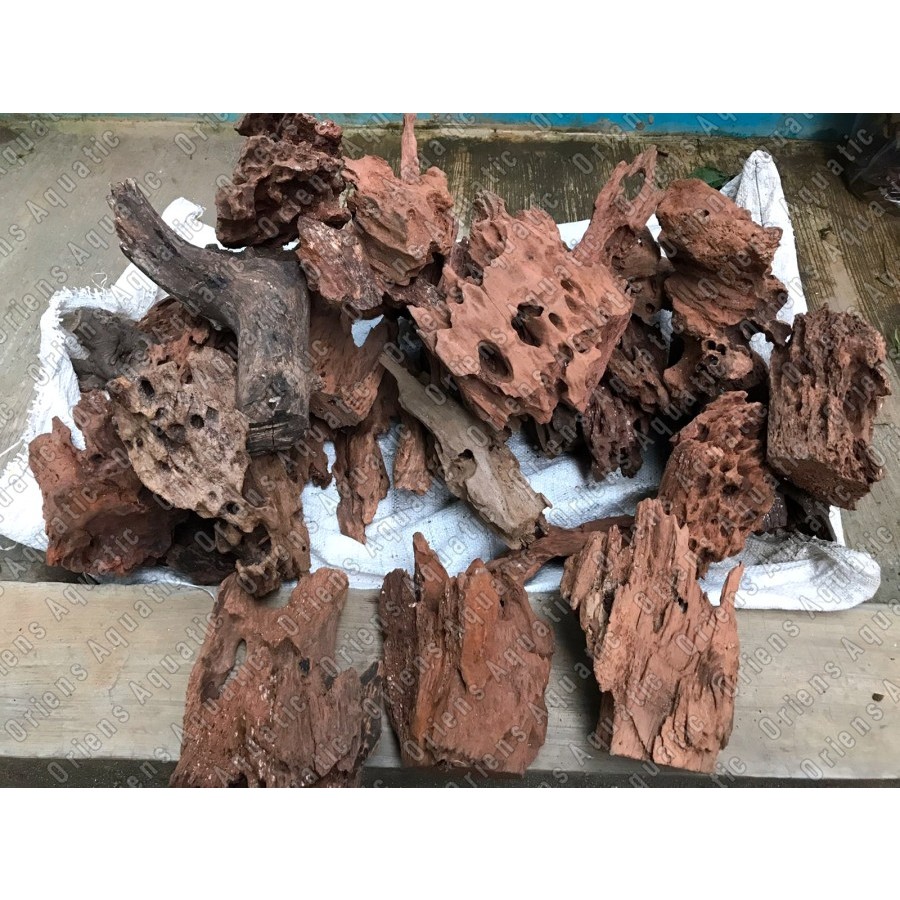 Jual Kayu Rentek / Akar Driftwood Aquascape Paludarium Aquarium ...