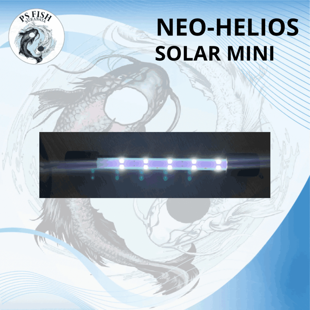 Jual Neo-Helios Solar Mini Color Booster Series Lampu Aquarium ...