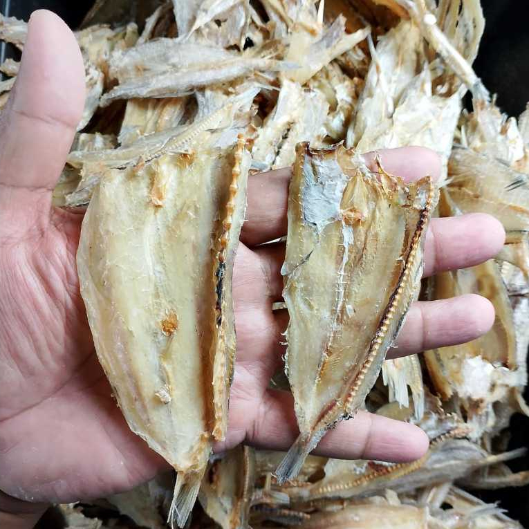 Jual Gabus tawar / ikan gabus laut /ikan bloso tawar 1 kg | Shopee ...