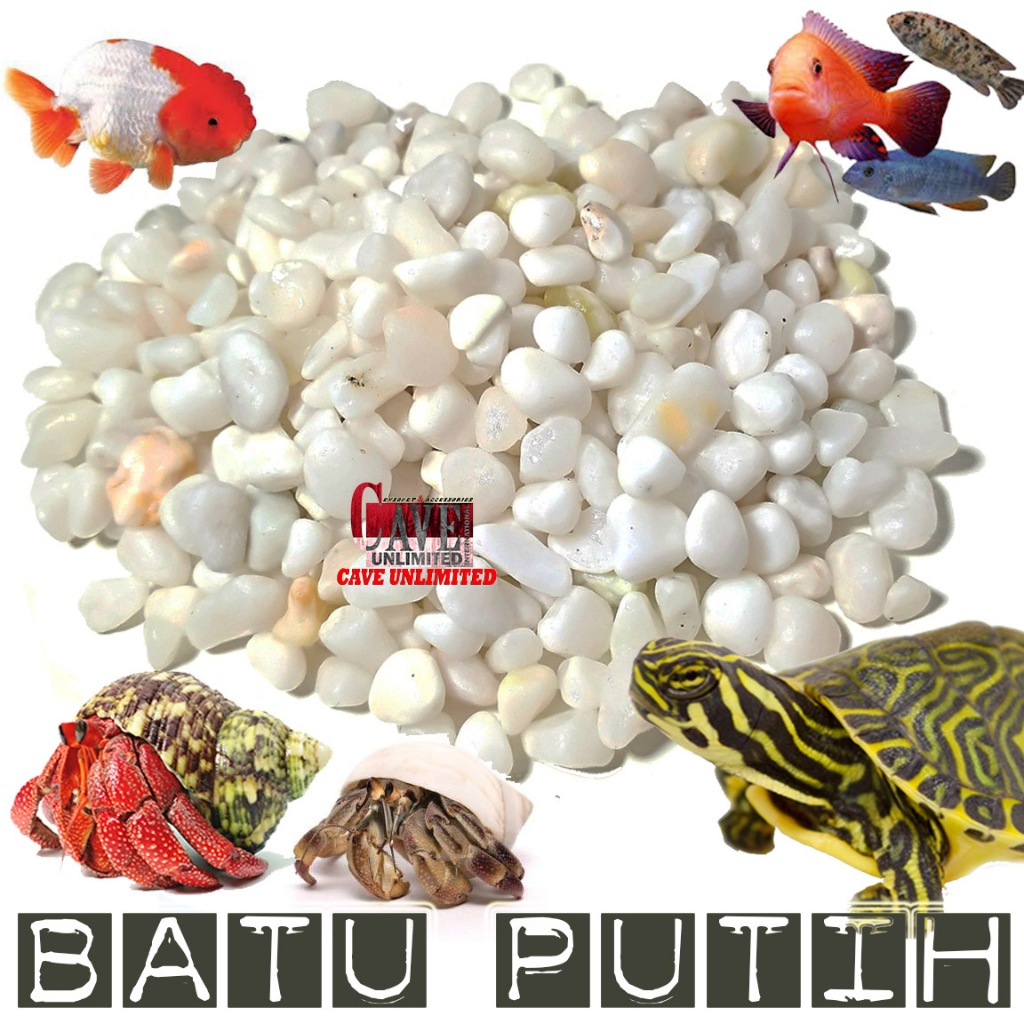 Jual BATU ALAM PUTIH & PASIR PUTIH HIAS AKSESORIS KANDANG ALAS ...