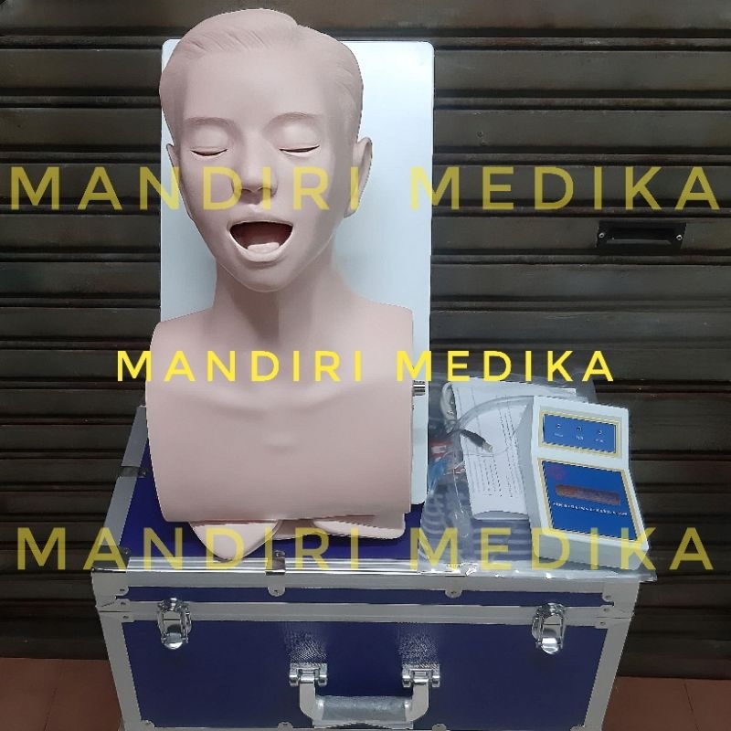 Jual Phantom Manikin Alat Peraga Intubasi Airway ETT Airway GL 8407 ...
