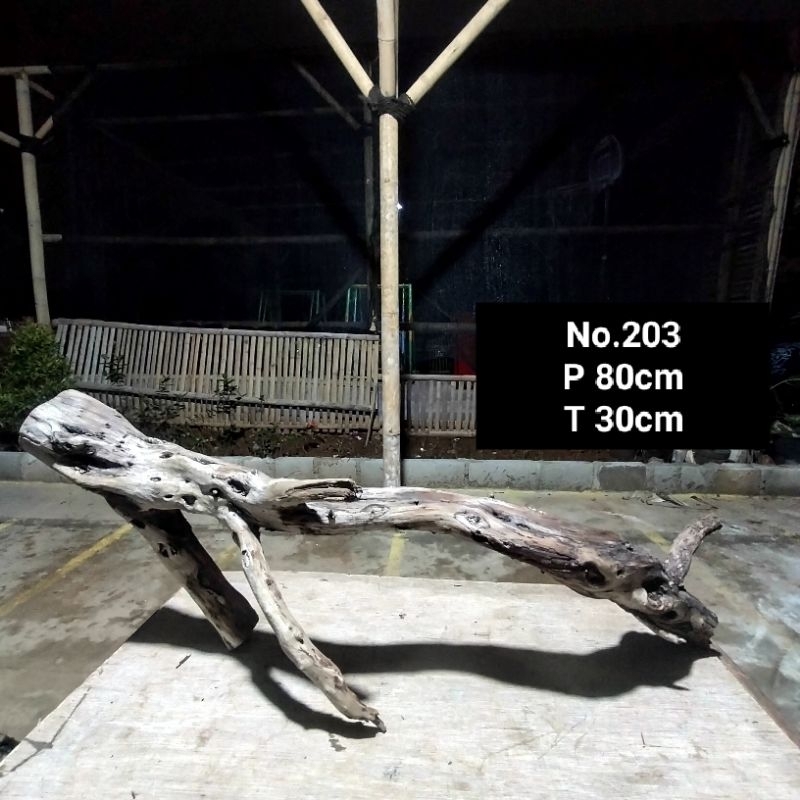 Jual akar santigi laut akar dekorasi aquascape aquarium 203 | Shopee ...