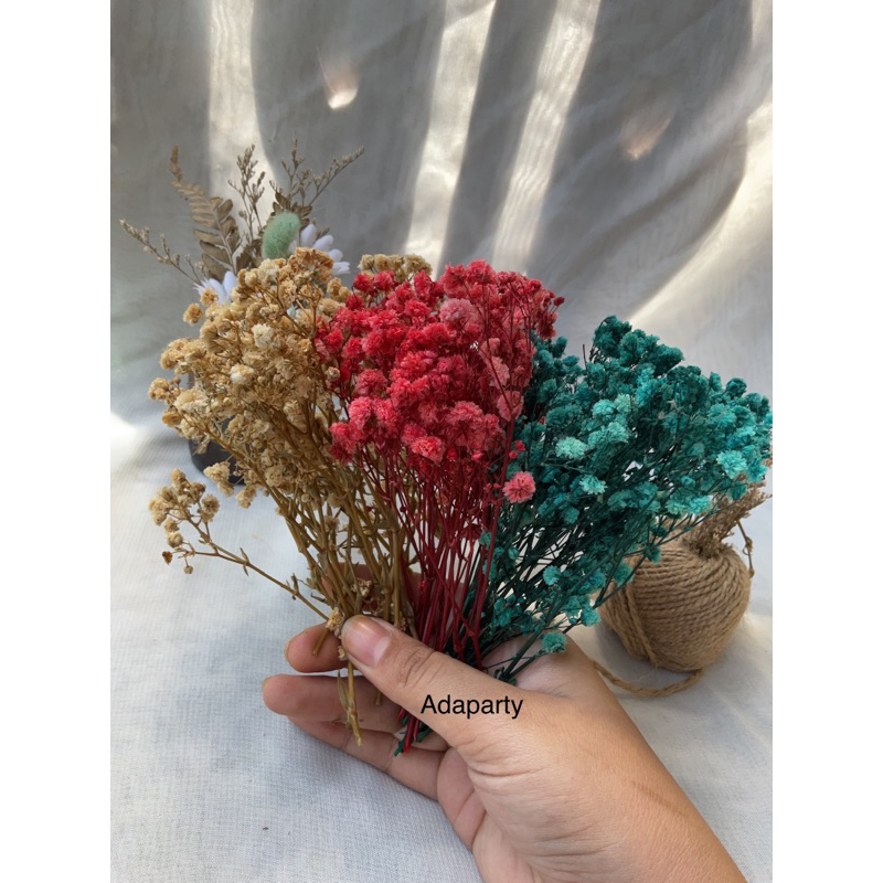 Jual Baby Breath / Dried Flower Awetan / Bunga Kering / Preserved Baby ...