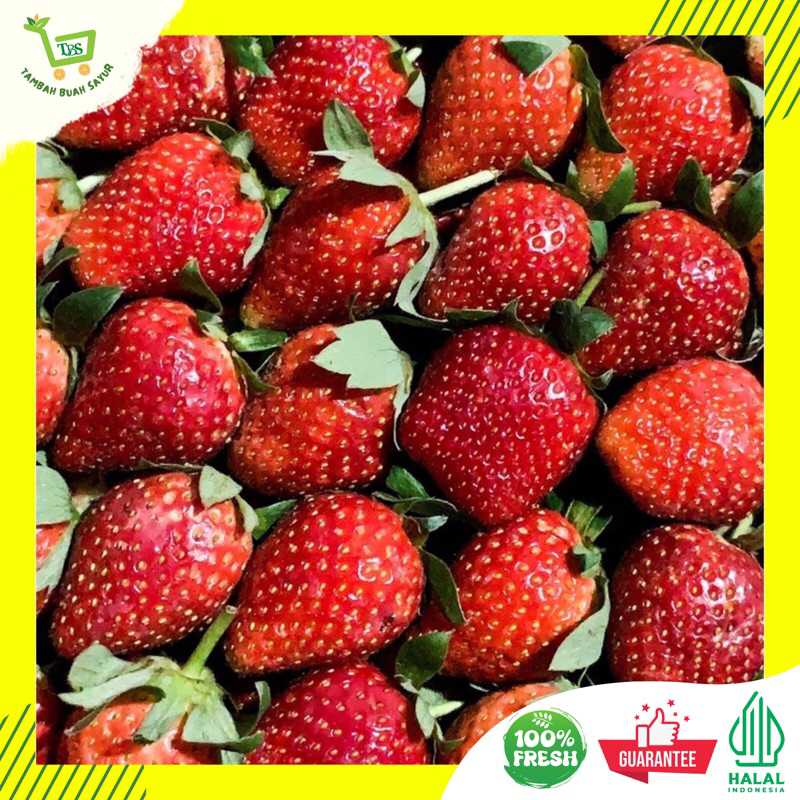 Jual STRAWBERRY 1 KG | BUAH STRAWBERRY | STRAWBERRY FRESH | (KHUSUS ...