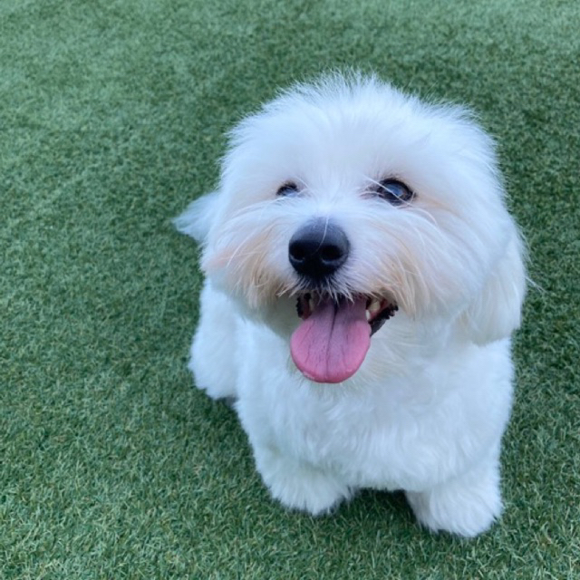 Jual custom printed cards | Shopee Indonesia