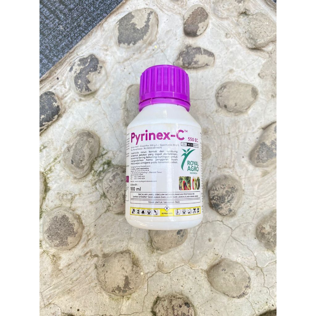 Jual Insektisida PYRINEX- C 550 EC dari royal agro isi100 ml | Shopee ...