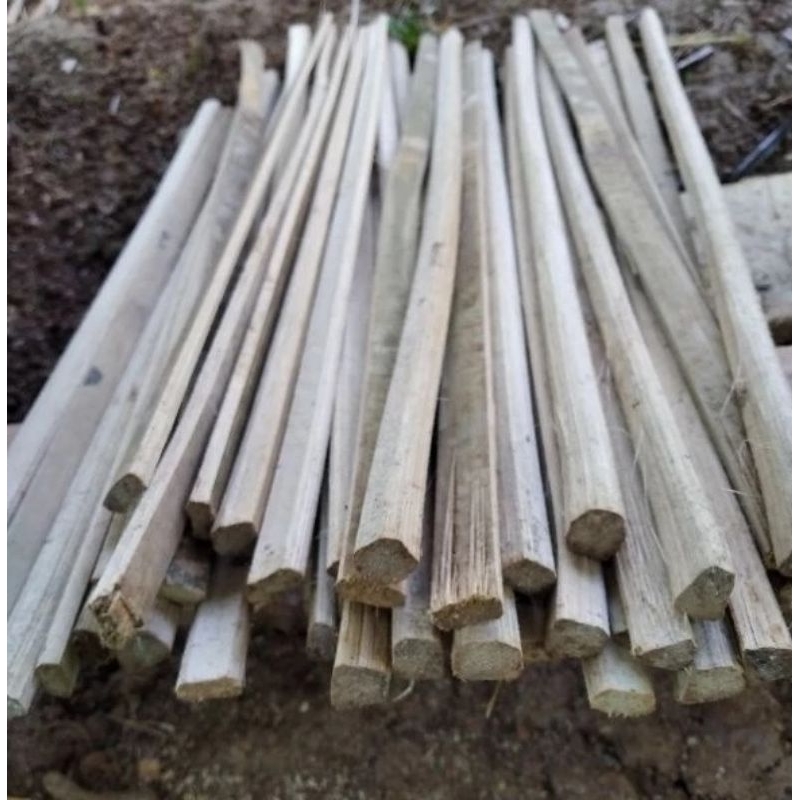 Jual Bilahan Bambu isi 12 batang | Bambu ajir ukuran 70cm | Bambu buat ...