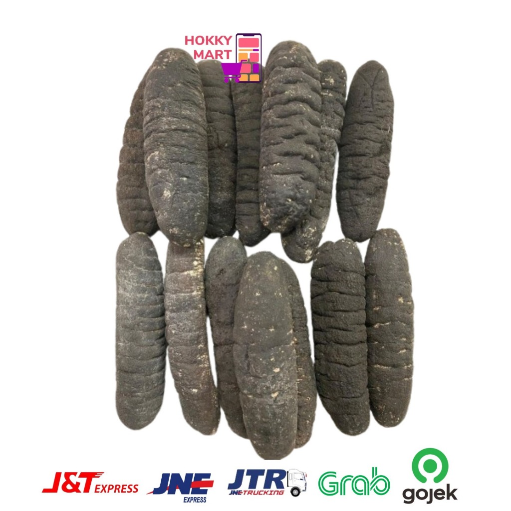 Jual (JSO) Haisom Isi 5 per 500gr Belitung Asli Lintah Laut Teripang ...