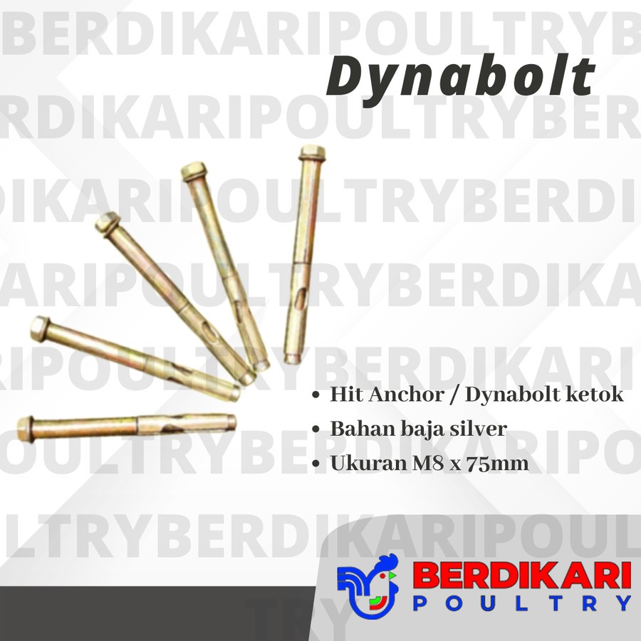 Jual Dynabolt High Anchor m8 x 75 - Alat Ternak Kandang Ayam | Shopee ...