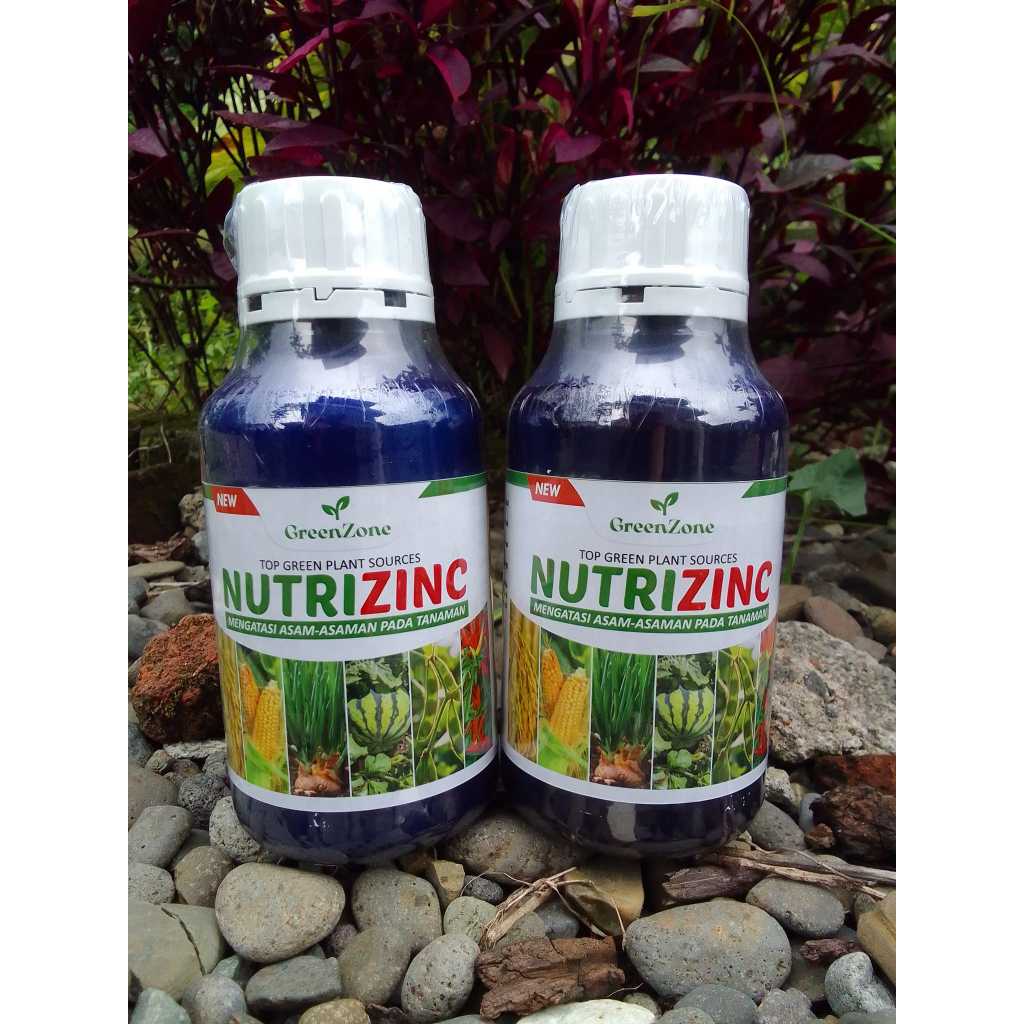 Jual Pupuk Nutrizinc Nutrizink Mengatasi Asam Asaman Mempercepat Pertumbuhan Perkembangan Akar ...