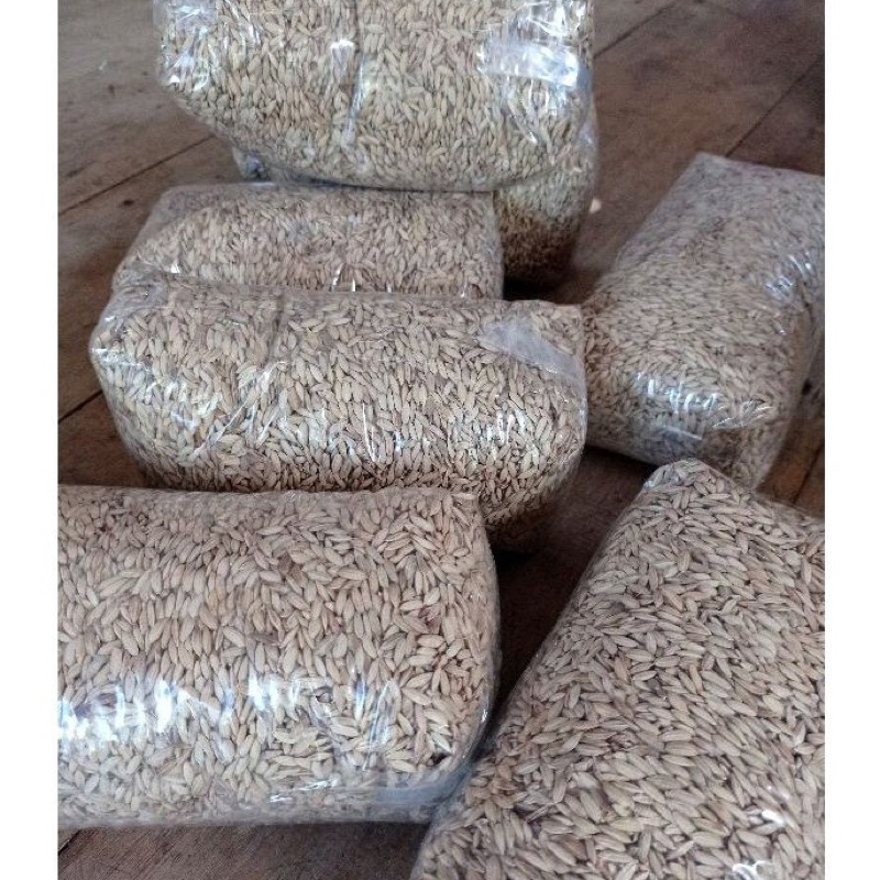 Jual padi huma beras merah 1kg | Shopee Indonesia