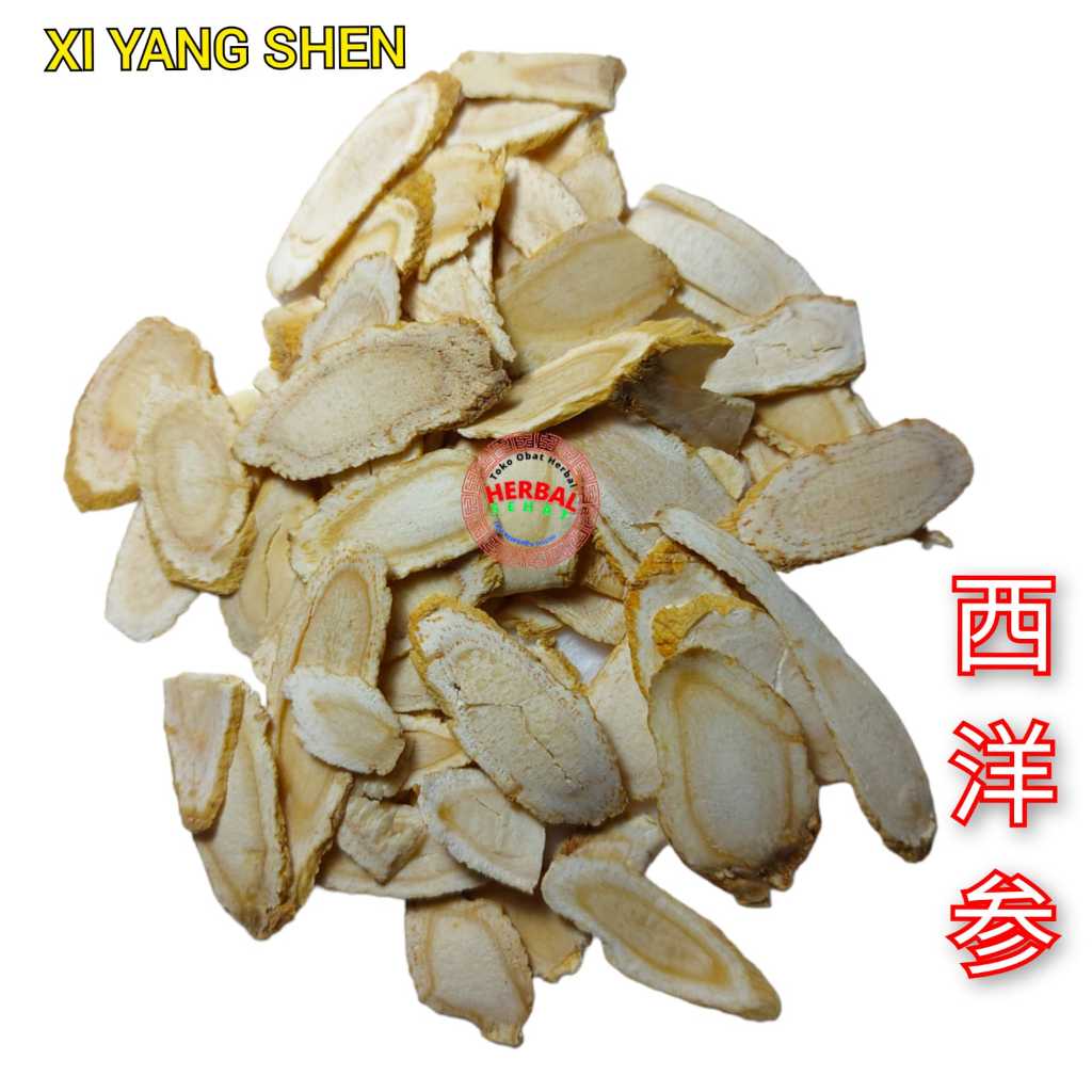 Jual American Ginseng 3,75 Gram 西洋参 Yong Sem / Yongsem / Xi Yang Shen Ginseng Amerika | Shopee ...