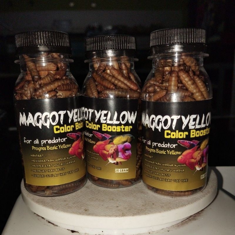 Jual Maggot kering yellow pakan predator | Shopee Indonesia
