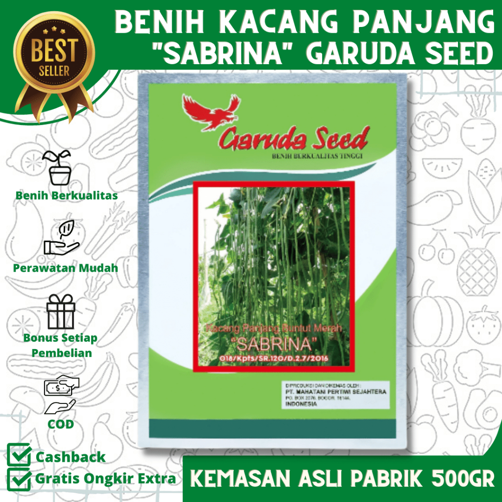 Jual Benih Bibit Kacang Panjang Biji Coklat Thora 500 gram • Bibit ...