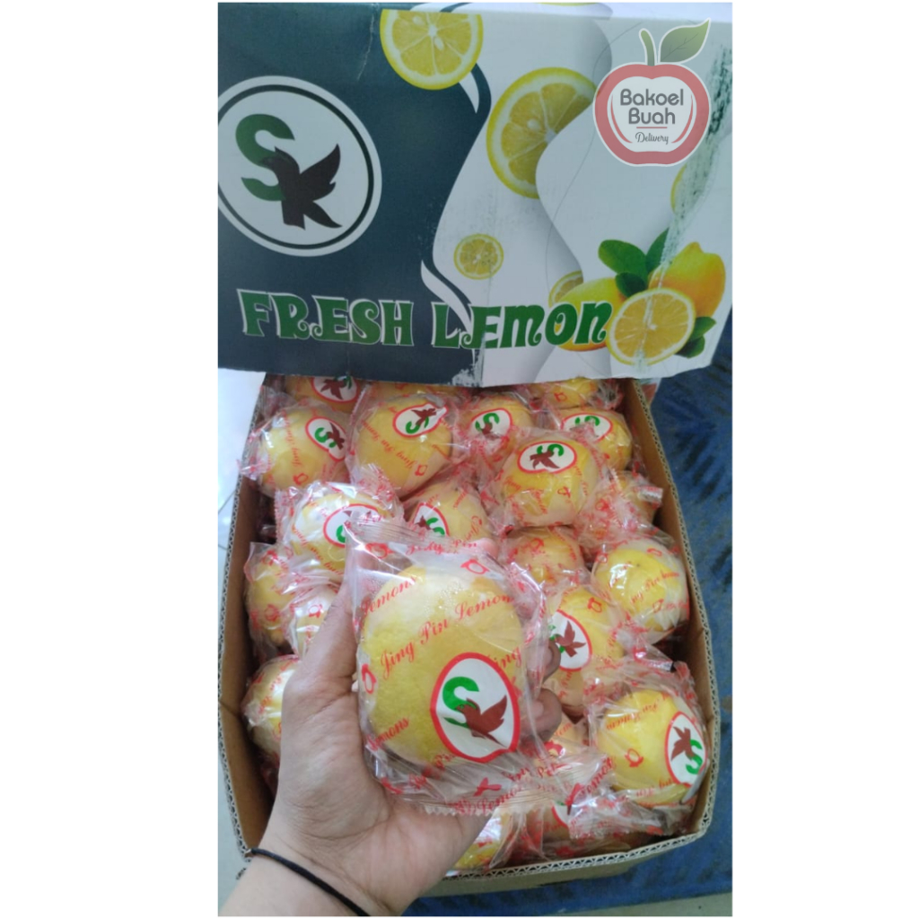 Jual Buah lemon china / harga per KG | Shopee Indonesia