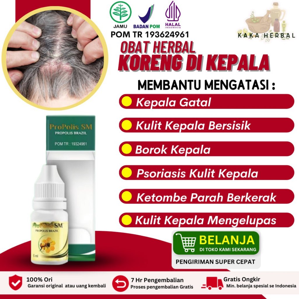 Jual Obat Koreng Di Kepala Borok Bernanah di Kulit Kepala Psoriasis Kulit Bersisik Berkerak ...