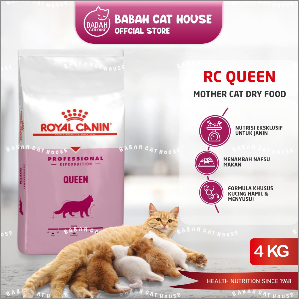 Jual Royal Canin PRO QUEEN 4KG Makanan Kucing Hamil Menyusui Pasca ...