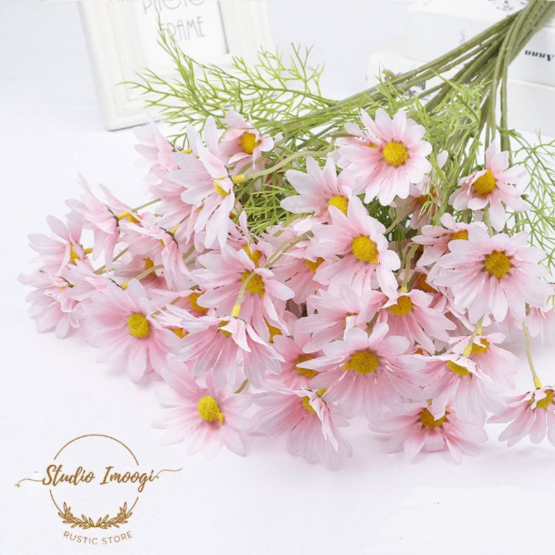 Jual BUNGA CHAMOMILE /ASTER TANGKAI PANJANG / BUNGA ASTER CEMARA ...