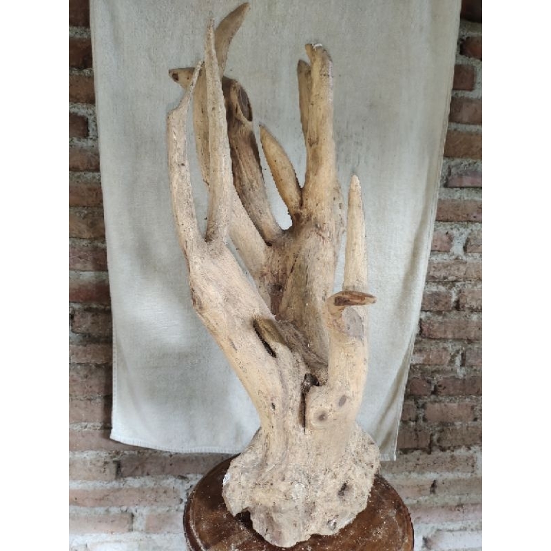 Jual kayu Gamal untuk hias realpic sesuai gambar berkarakter bagus real ...