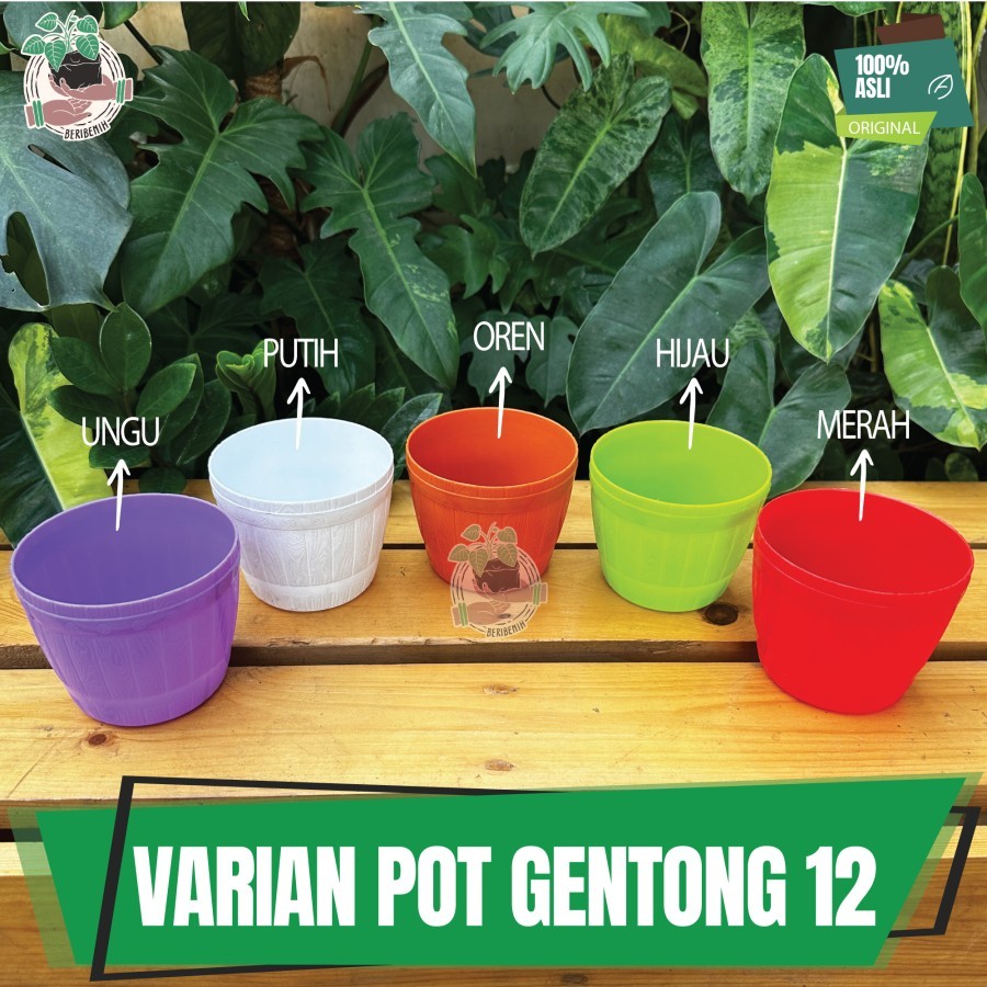 Jual Pot Bunga Gentong Motif Kayu Pot Tanaman Hias Cantik Warna Warni ...