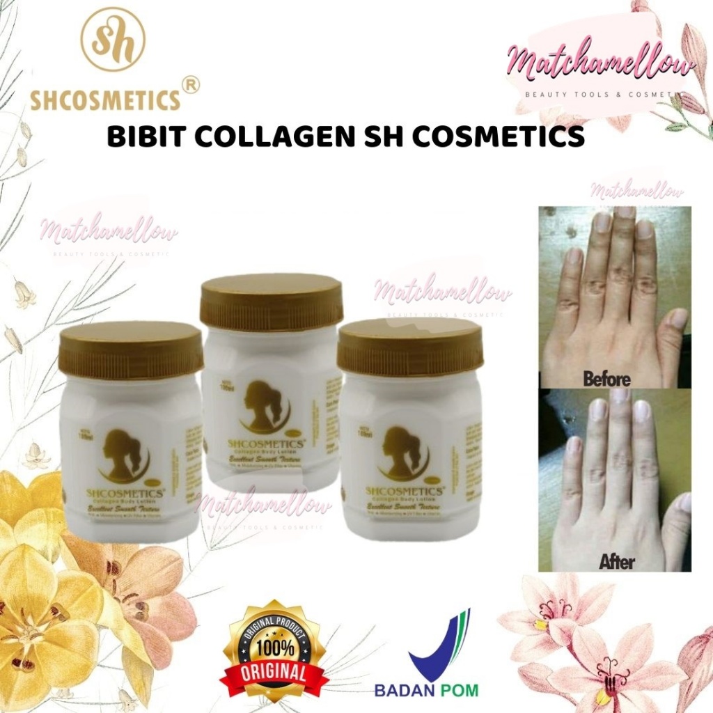 Jual MATCHA BIBIT COLLAGEN [ CV SH KOSMETIK ] / BIBIT COLLAGEN SH ...