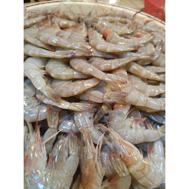 Jual Udang basah standar B fresh 500gram | Shopee Indonesia