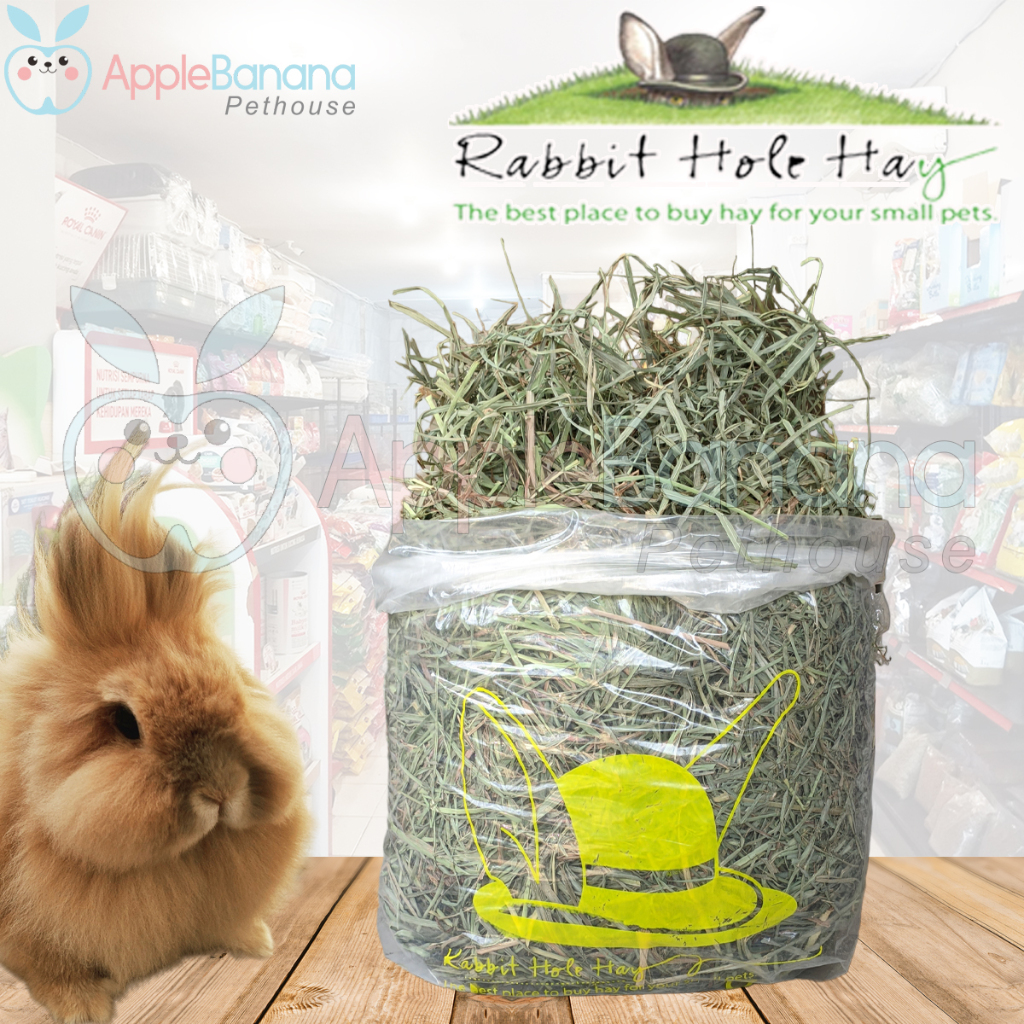Jual Orchard Hay 500gr RHH Rumput Hay Orchard Rabbit Hole Hay 500gr ...