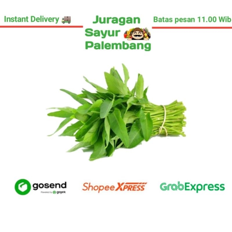 Jual Sayur Kangkung 1 Ikat - Juragan Sayur Palembang | Shopee Indonesia