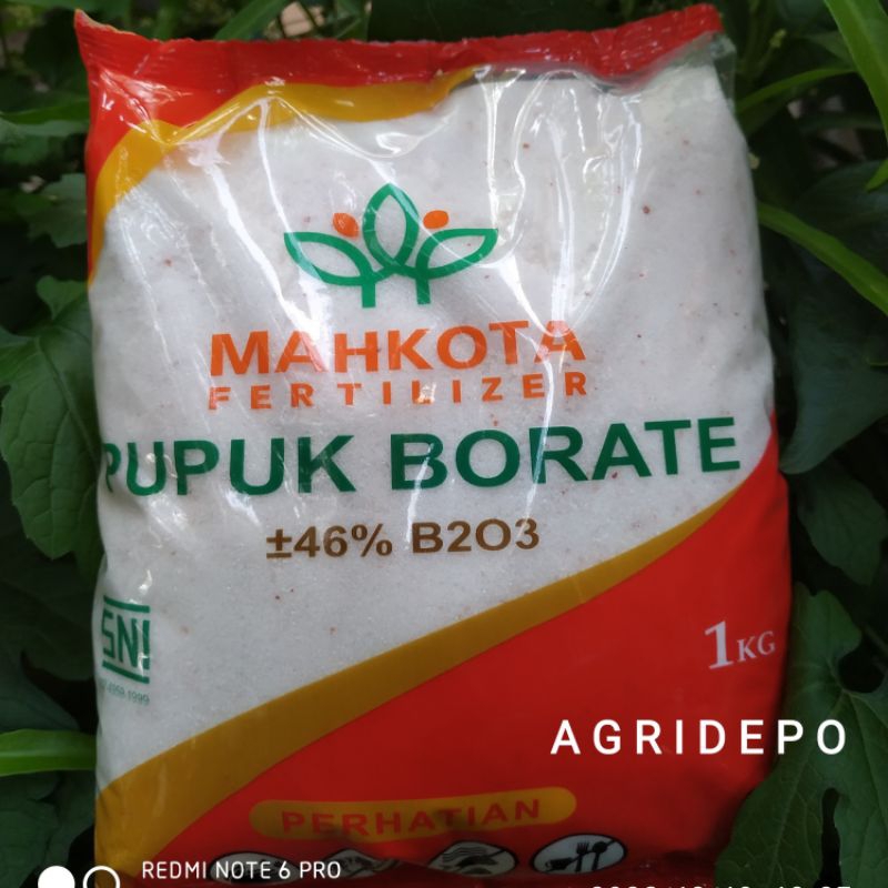 Jual Pupuk Borate Borat Mahkota 46% Kemasan Pabrik 1KG Asli | Shopee ...