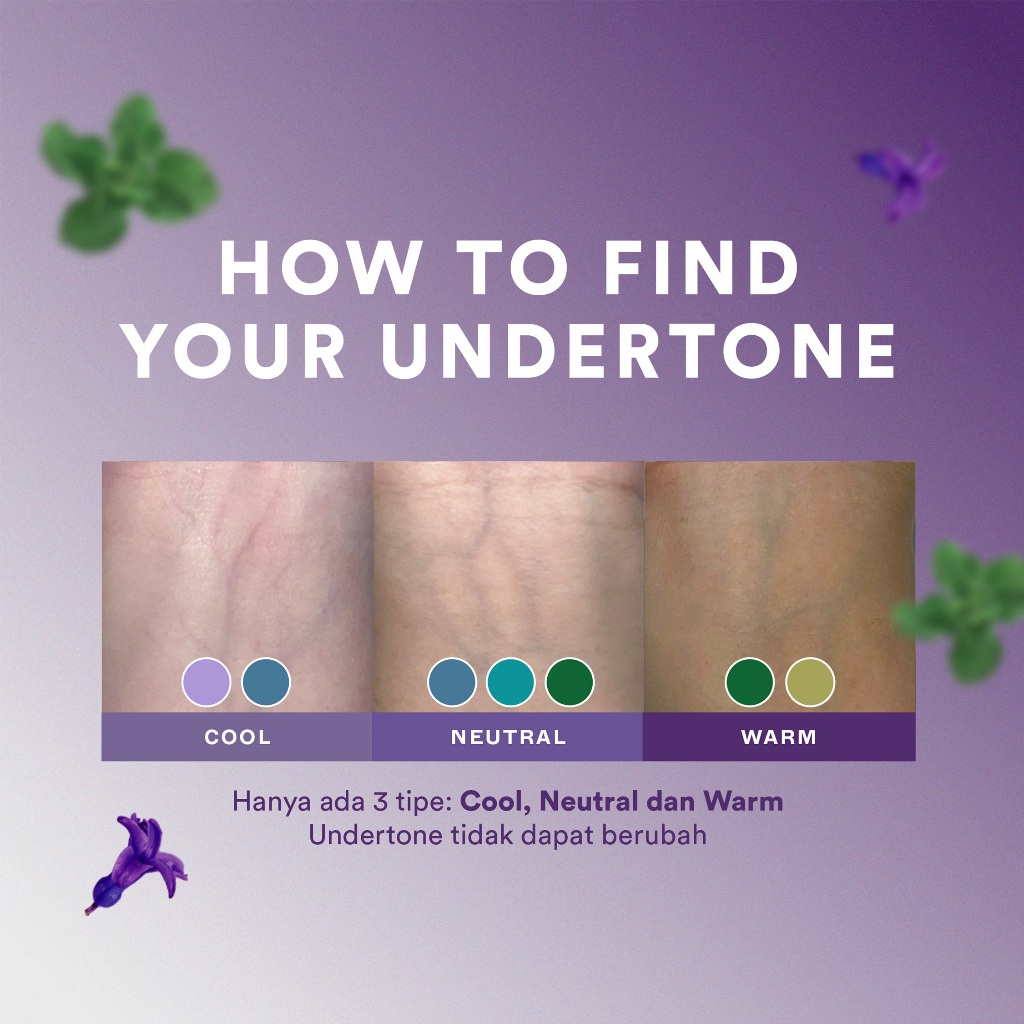 Jual Studio Tropik DreamSetter Airbrush Setting Powder | Shopee Indonesia