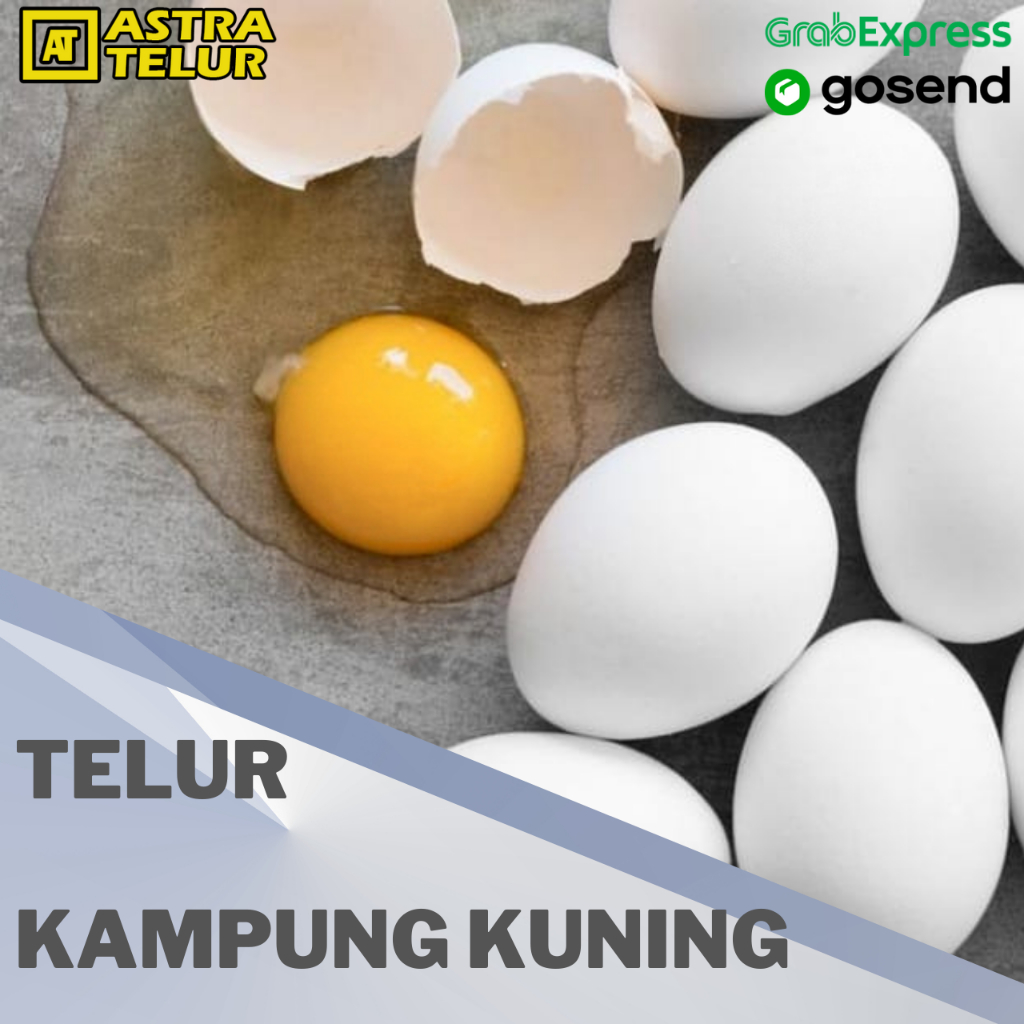 Jual TELUR KAMPUNG KUNING (BUTIR) | Shopee Indonesia