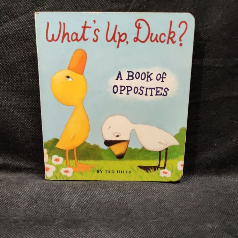 Jual Buku What's Up, Duck?, A Book of opposites, Tad Hills. | Shopee ...