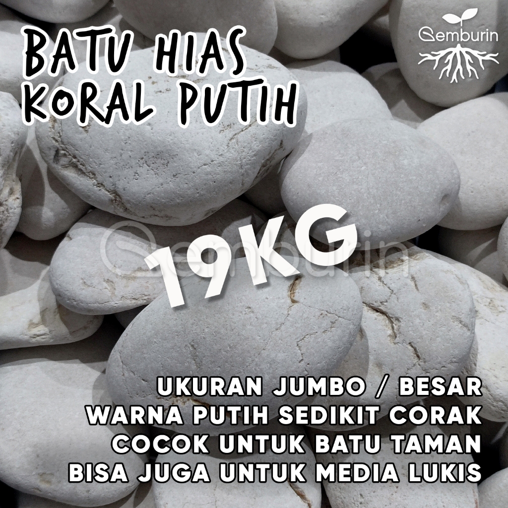 Jual Batu Koral Putih 19-20 Kg BESAR JUMBO KARUNGAN / Batu Putih Kupang ...