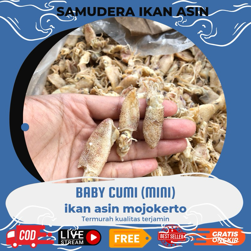 Jual Baby Cumi 1kg Asin Murah & Berkualitas Tinggi | Shopee Indonesia