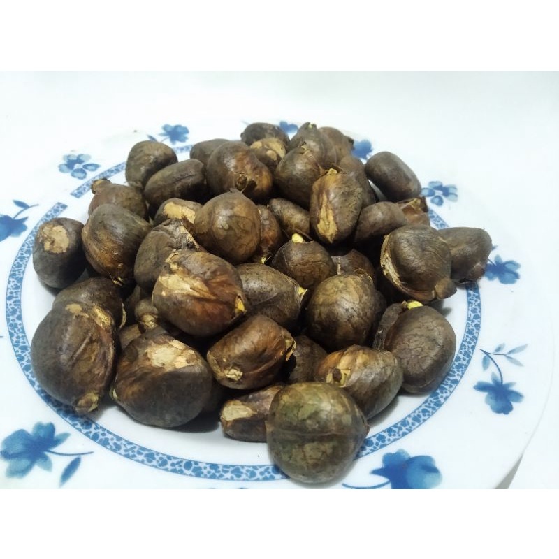 Jual Biji Buah Kluwih Herbal Kering (4 Butir) | Shopee Indonesia