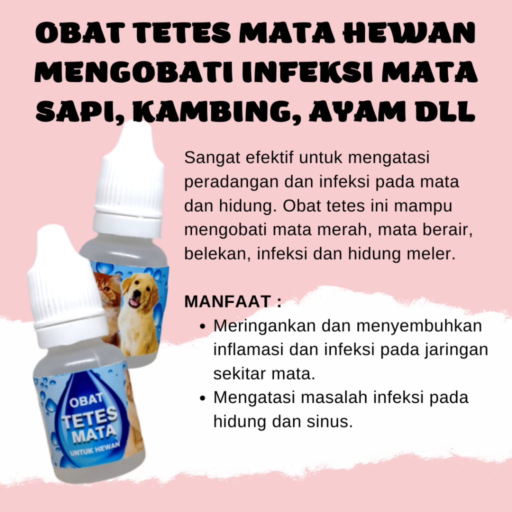 Jual OBAT MATA TETES UNTUK SAPI KAMBING AYAM KERBAU MENGOBATI SAKIT ...