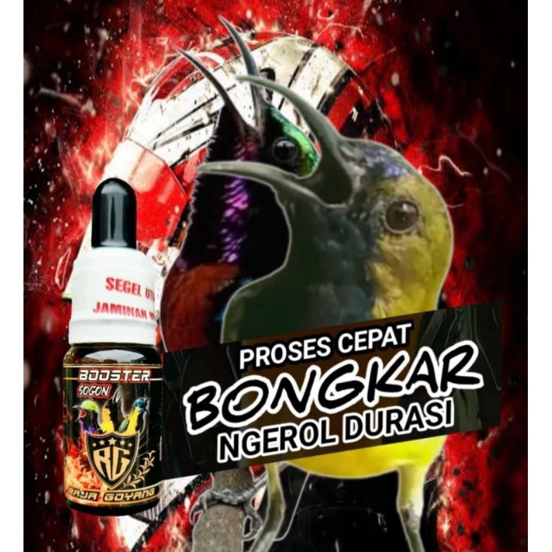 Jual BOOSTER SOGON RG DOSIS TINGGI VITAMIN/DOPING SOGON PENGGACOR SOGON ...