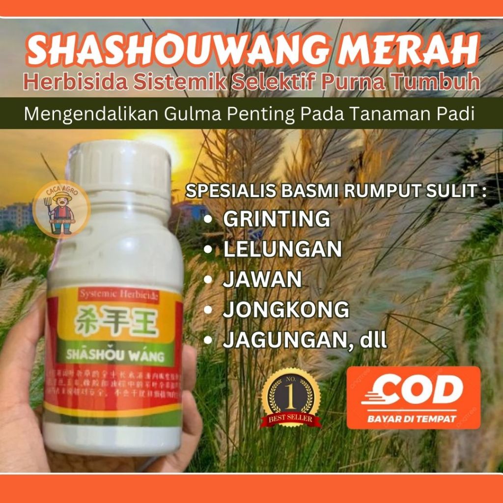 Jual SHASHOU WANG MERAH - HERBISIDA SISTEMIK SELEKTIF SPESIALIS ATASI ...