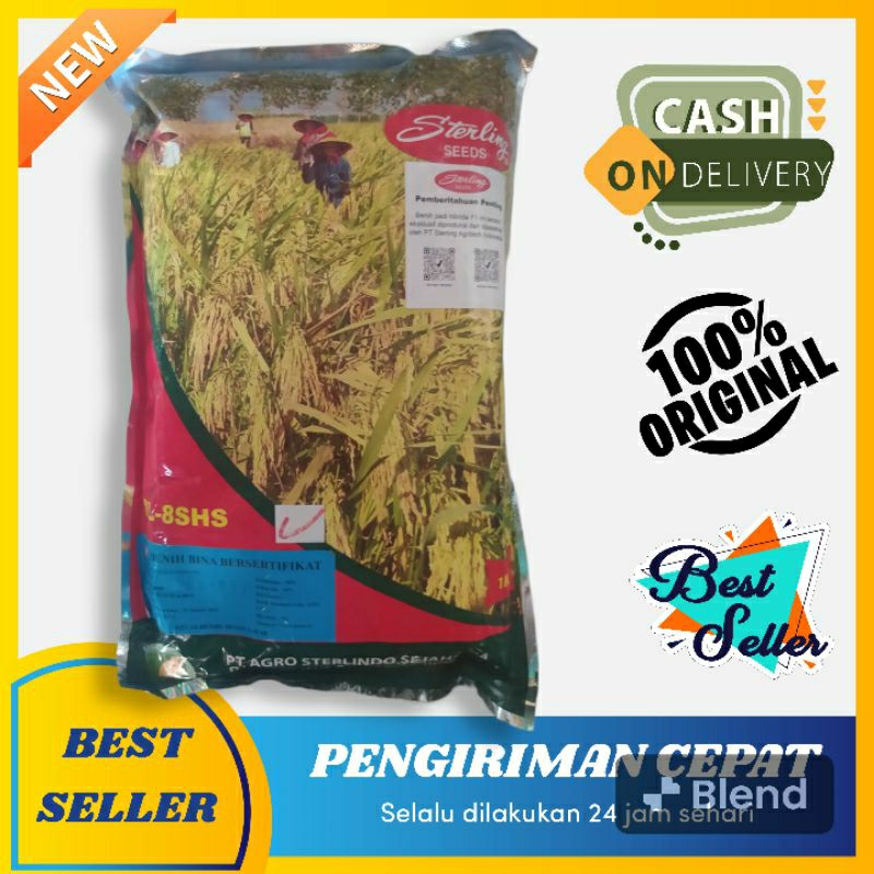 Jual benih padi hibrida SL8SHS Sterling 1 kg | Shopee Indonesia