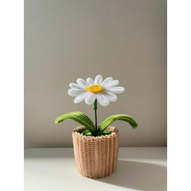 Jual Daisy (Pipe Cleaner) | Shopee Indonesia