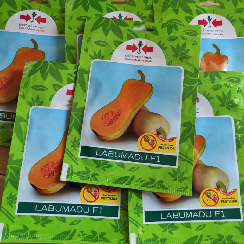 Jual Benih Bibit Labu Madu Butternut Squash isi 10 butir Cap Panah ...