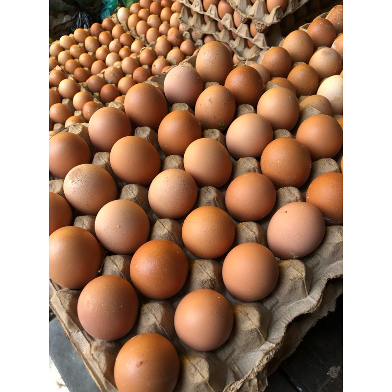 Jual Telur Ayam | Shopee Indonesia
