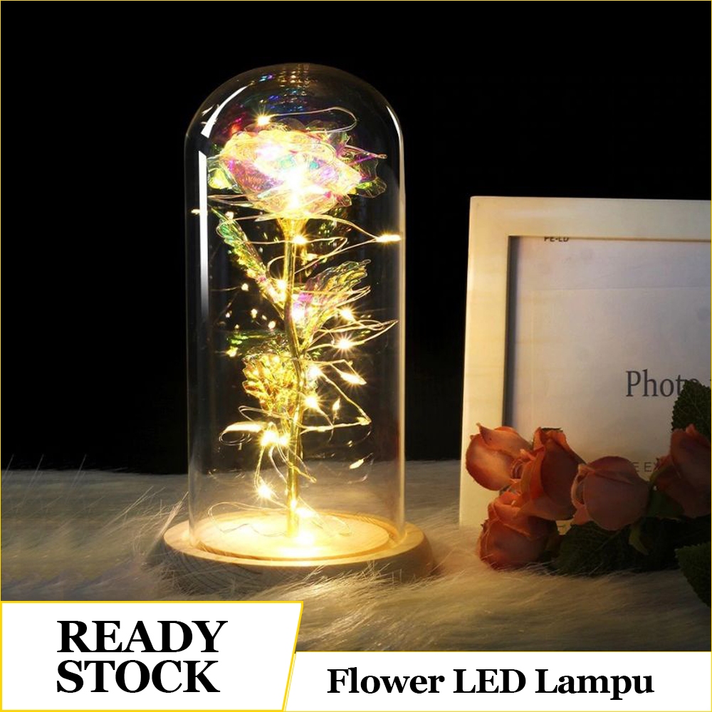 Jual Bunga Mawar Lampu Led Kaca Plastik Dome Dekorasi Beauty Kado Natal ...