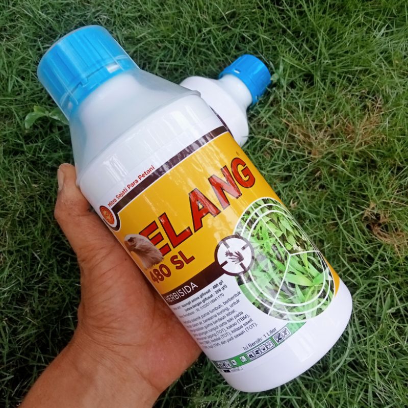 Jual Obat Rumput Herbisida Elang 480 SL 1 Liter Pembasmi Aneka Gulma ...