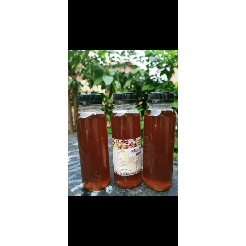 Jual Madu Trigona Asli Hutan Sumatera Selatan Kemasan Botol 250ML ...