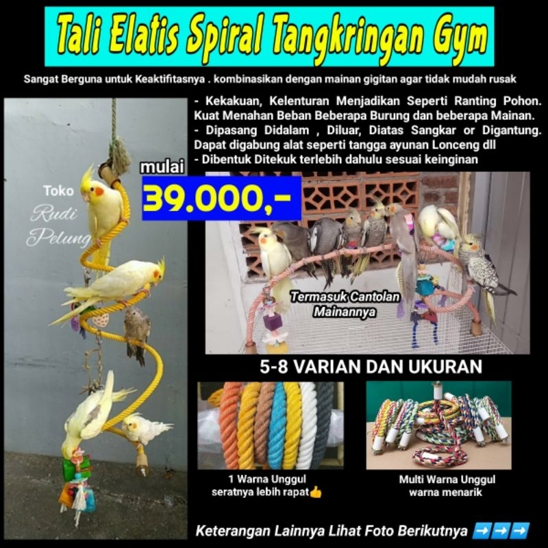 Jual TALI ELASTIS SPIRAL "S" BURUNG PARROT "S" 100 Cm parkit cockatiel ...