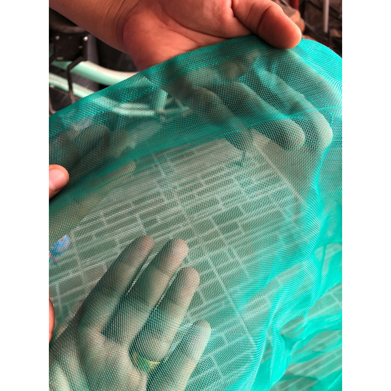 Jual INSect net/kassa hijau/waring hijau per meter | Shopee Indonesia