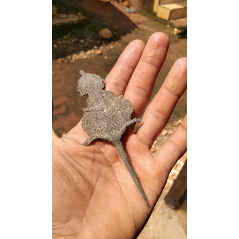 Jual Semar Segoro antik layak didapat | Shopee Indonesia