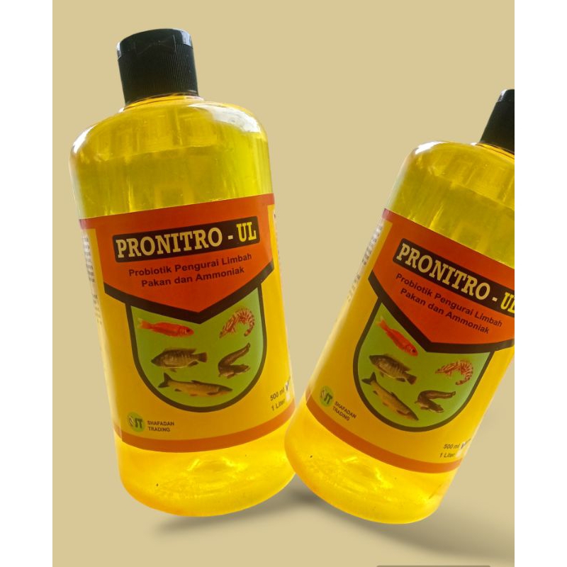 Jual Probiotik Ikan Budidaya dan Hias Nitrobacter Nitrosomonas PRONITRO ...